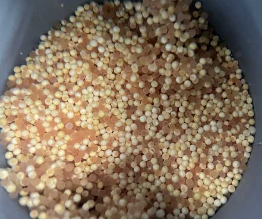 2022年度----KenCube養鱒場